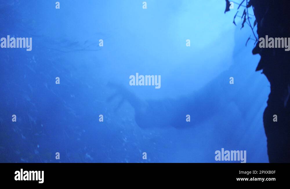 Frankenstein monster in cemetery Stock Videos & Footage - HD and 4K ...