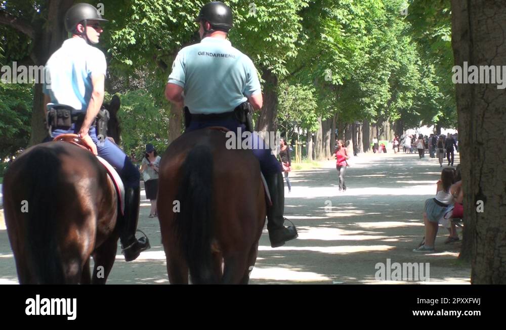 France champs elysees Stock Videos & Footage - HD and 4K Video Clips ...