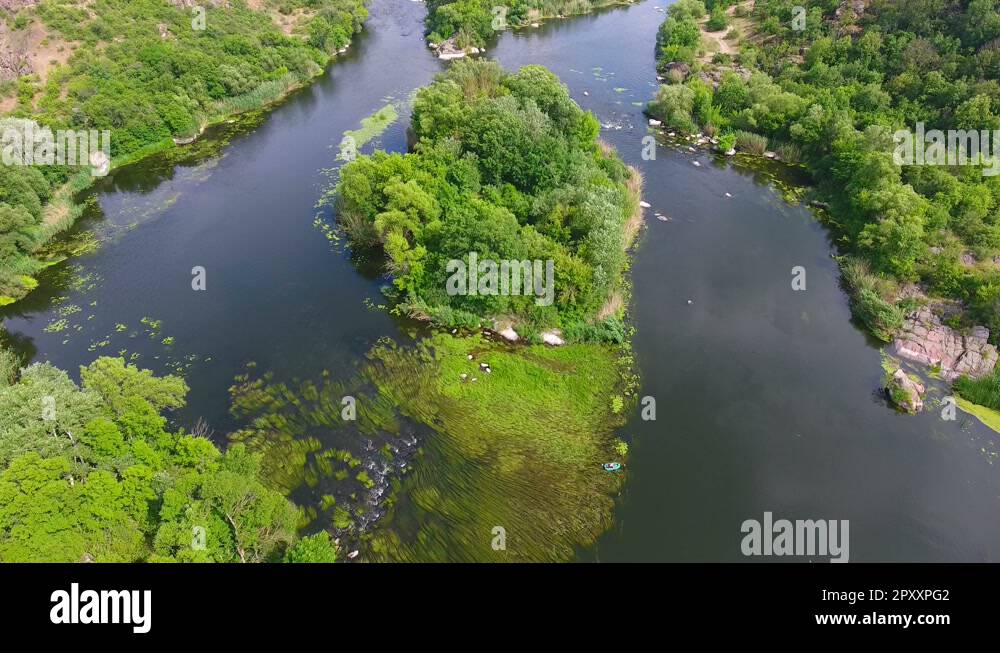 Ecosystem change Stock Videos & Footage - HD and 4K Video Clips - Alamy
