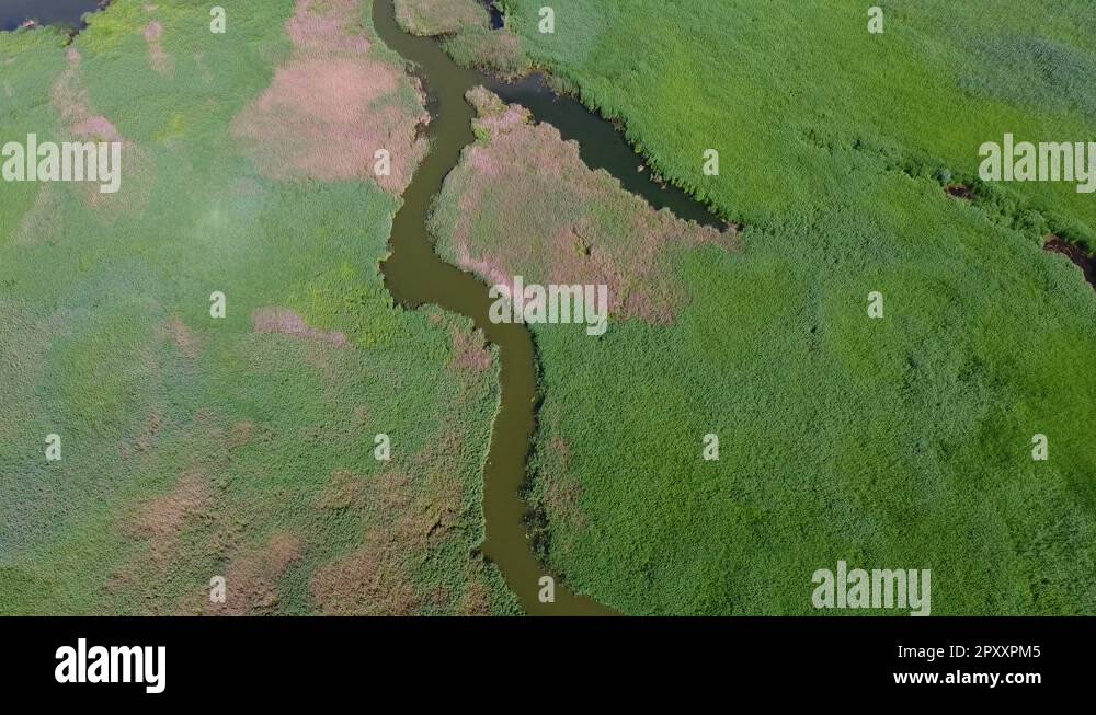 Beautiful wetland view Stock Videos & Footage - HD and 4K Video Clips ...