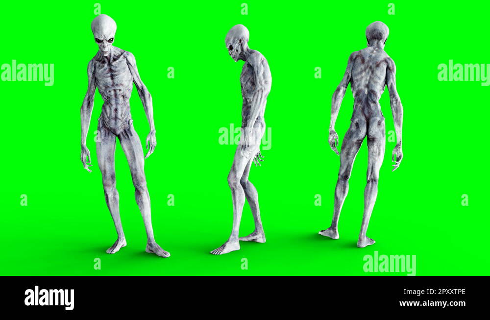 Alien stay idle. Realistic motion and skin shaders. 4K green screen ...
