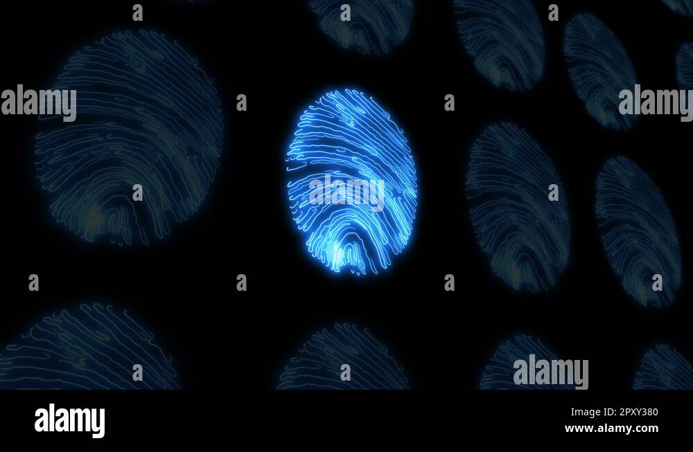 Thumb fingerprint illustration Stock Videos & Footage - HD and 4K Video ...