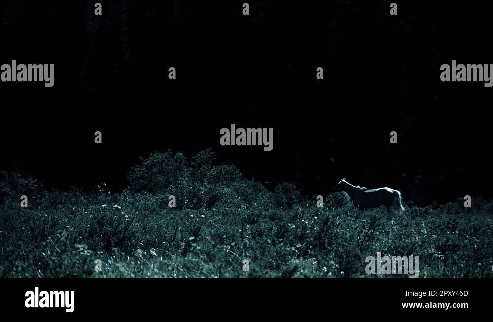 Windy night Stock Videos & Footage - HD and 4K Video Clips - Alamy