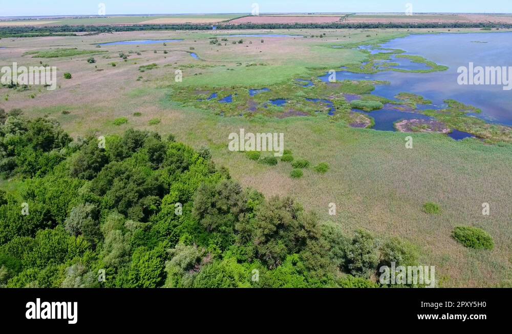 Beautiful wetland Stock Videos & Footage - HD and 4K Video Clips - Alamy