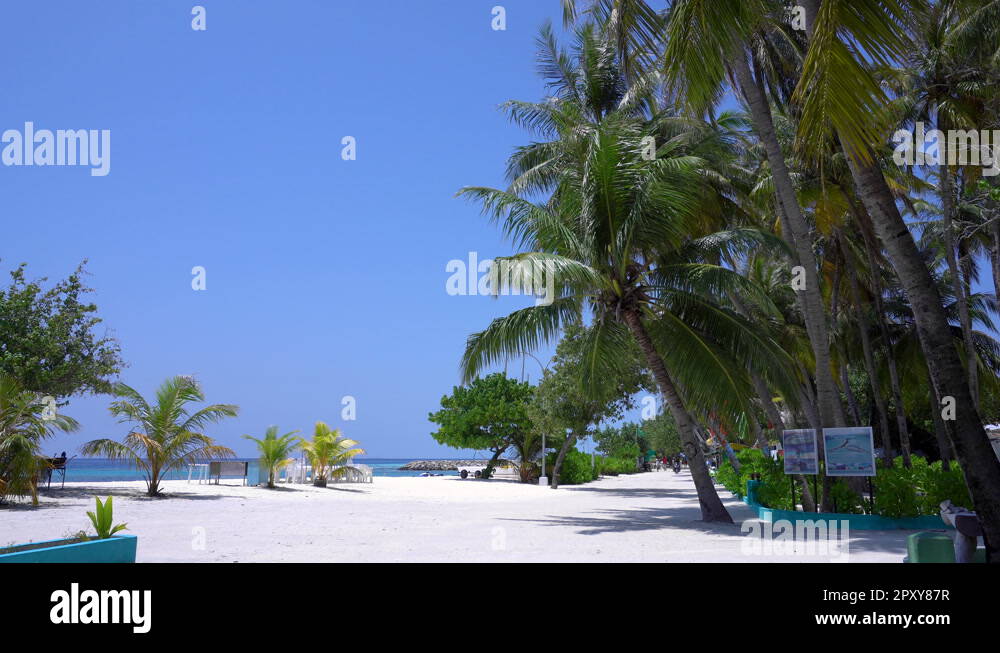 Maafushi island Stock Videos & Footage - HD and 4K Video Clips - Alamy