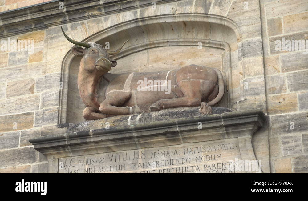 Medieval slaughterhouse Stock Videos & Footage - HD and 4K Video Clips ...