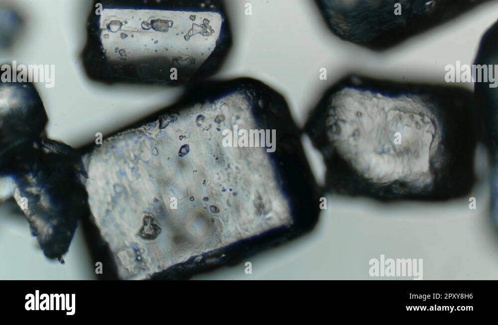 Microscope sugar Stock Videos & Footage - HD and 4K Video Clips - Alamy