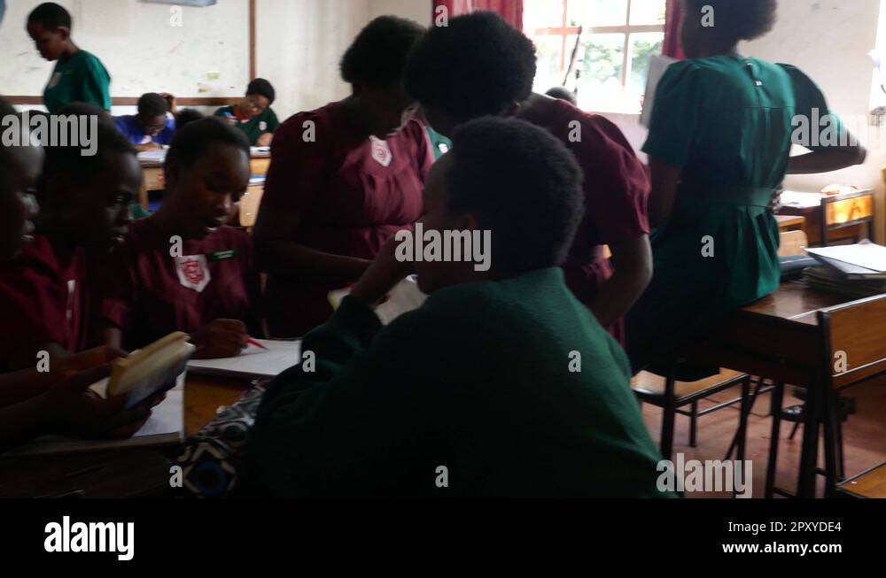 African beautiful black girls are study in groups in crowded classroom ...