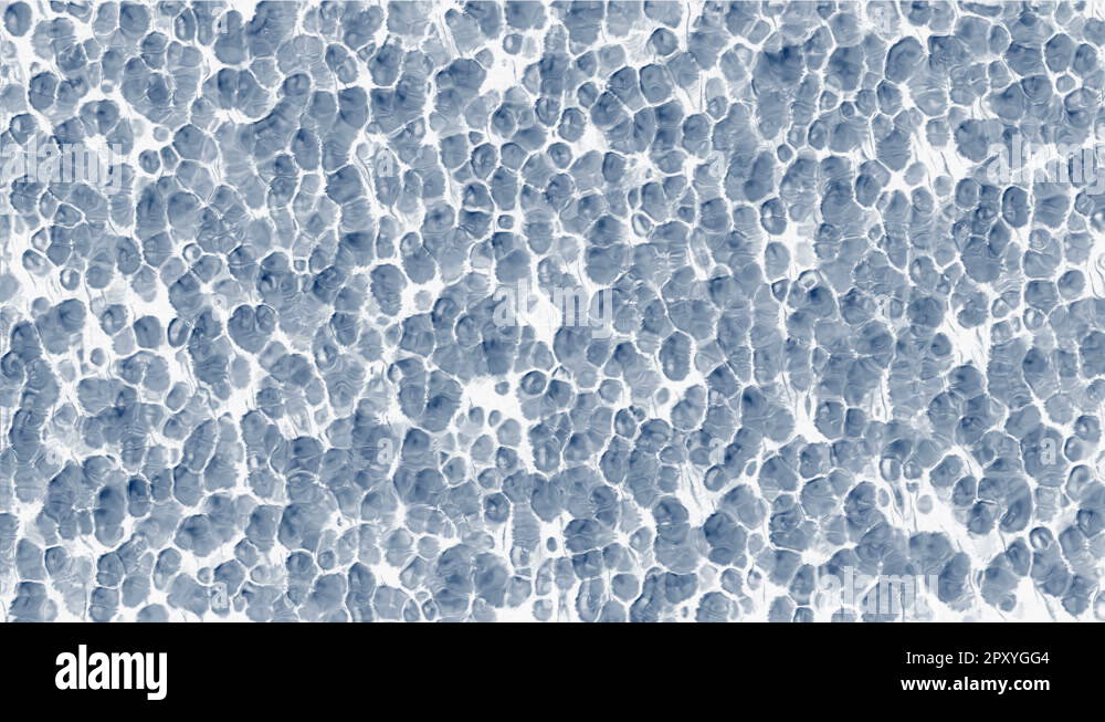 blue cells and virus.alveolus,bacterium,biology,cell,flow,illness,macro ...