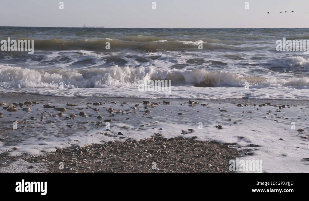 Unpolluted sea Stock Videos & Footage - HD and 4K Video Clips - Alamy