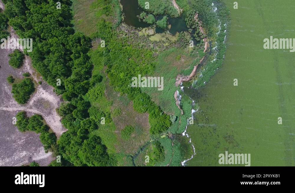 Marsh nature scenery Stock Videos & Footage - HD and 4K Video Clips - Alamy