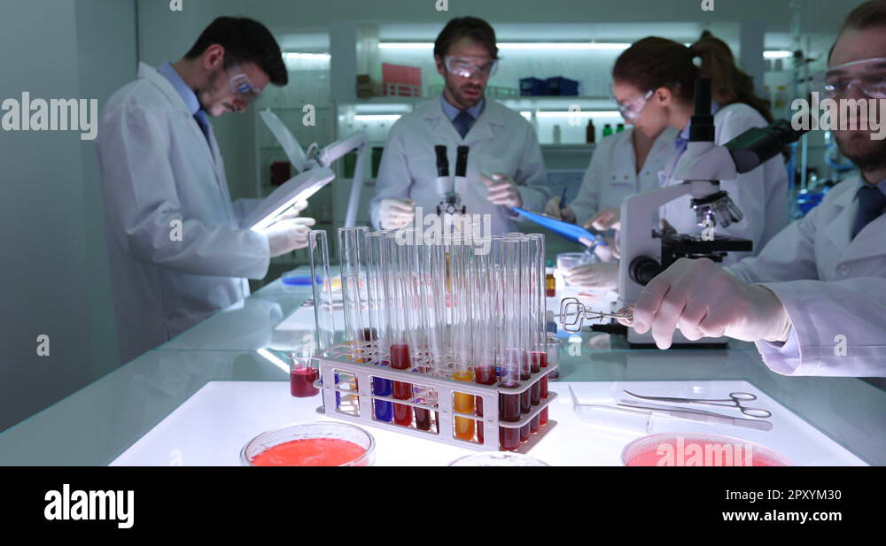 Scientists Researchers Working Experiments Test Chemicals Chemistry ...