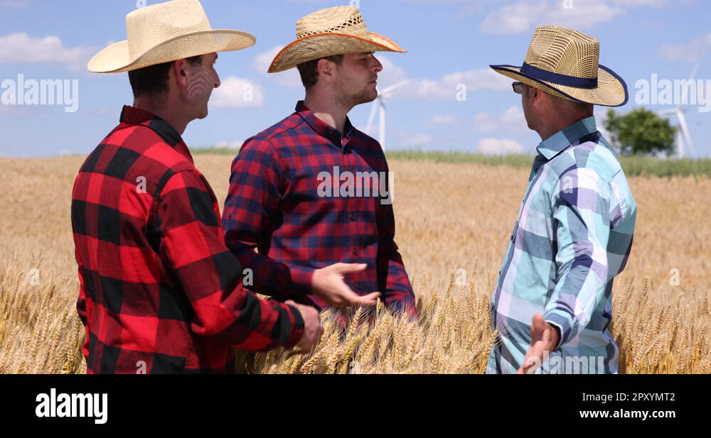 Successful Rancher Men Talking Handshakes Collaboration in Golden Wheat ...
