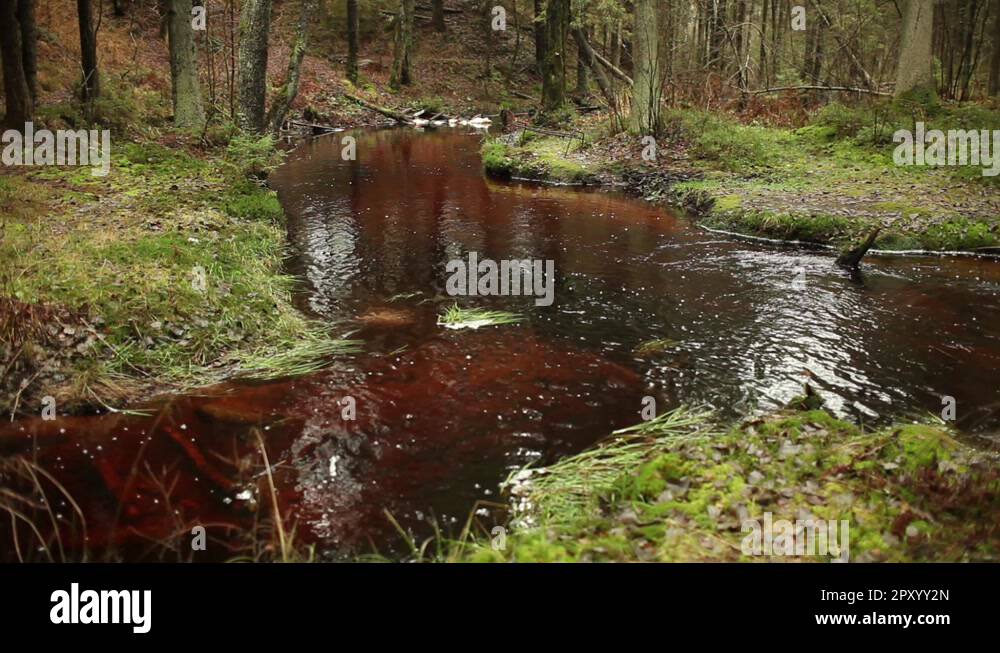 Taiga rivers Stock Videos & Footage - HD and 4K Video Clips - Alamy