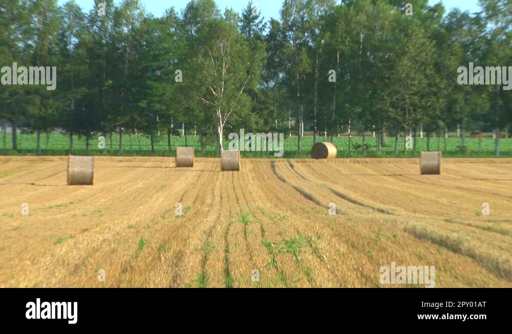 Straw roll Stock Videos & Footage - HD and 4K Video Clips - Alamy
