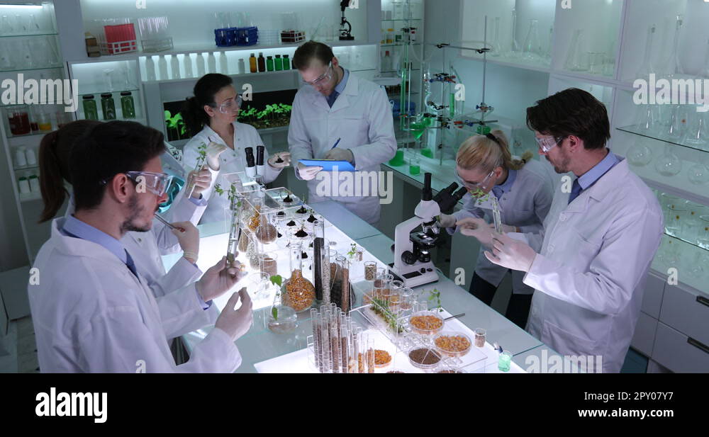 Laboratory techniques Stock Videos & Footage - HD and 4K Video Clips ...