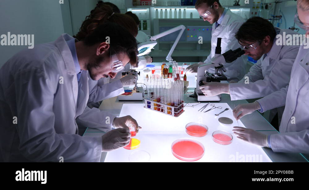 Blood group vials Stock Videos & Footage - HD and 4K Video Clips - Alamy