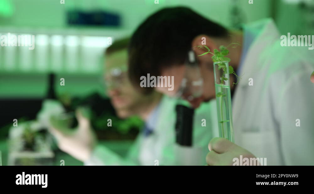 Teamwork activity Stock Videos & Footage - HD and 4K Video Clips - Alamy