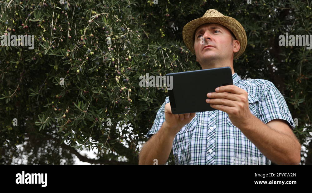 Data inspect Stock Videos & Footage - HD and 4K Video Clips - Alamy