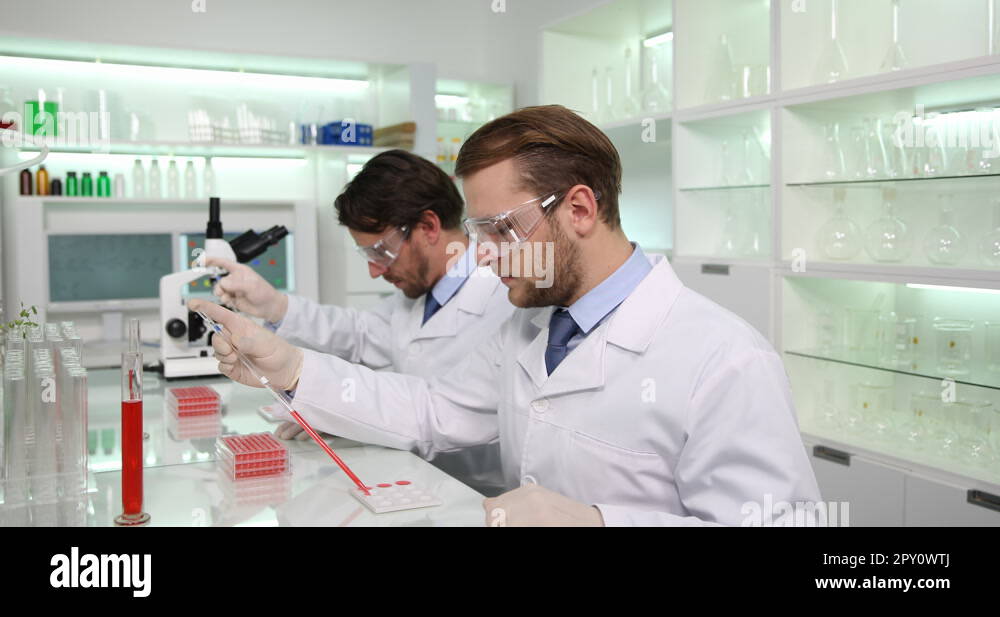Scientists Men Work Pour Liquid Samples Micropipette into Microplate ...