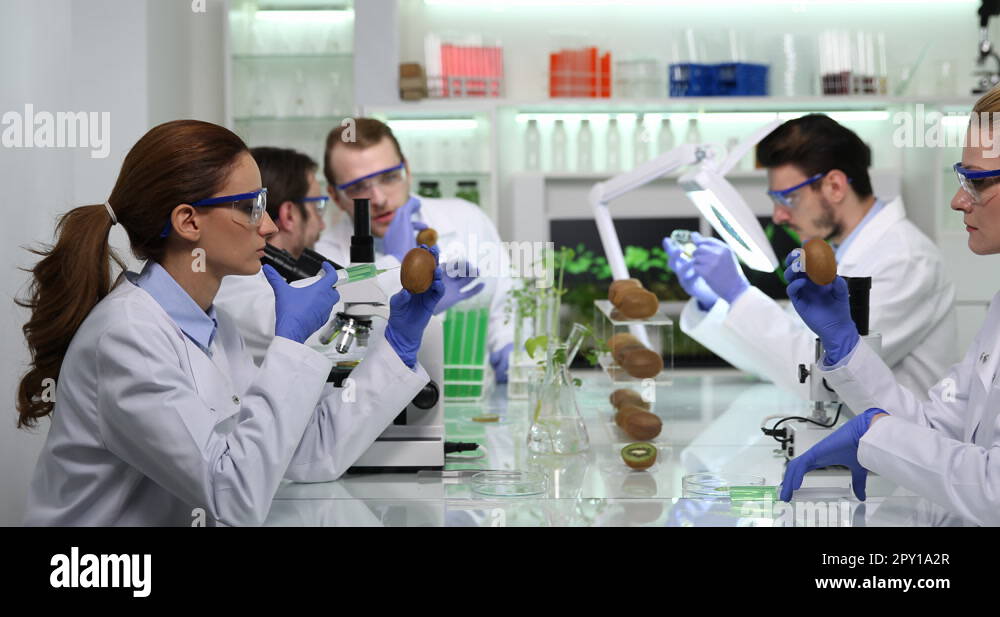 Study lab Stock Videos & Footage - HD and 4K Video Clips - Alamy