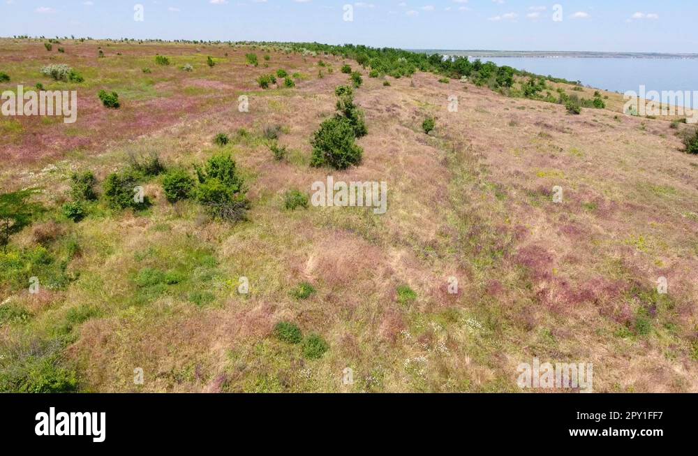 Olive green patches Stock Videos & Footage - HD and 4K Video Clips - Alamy