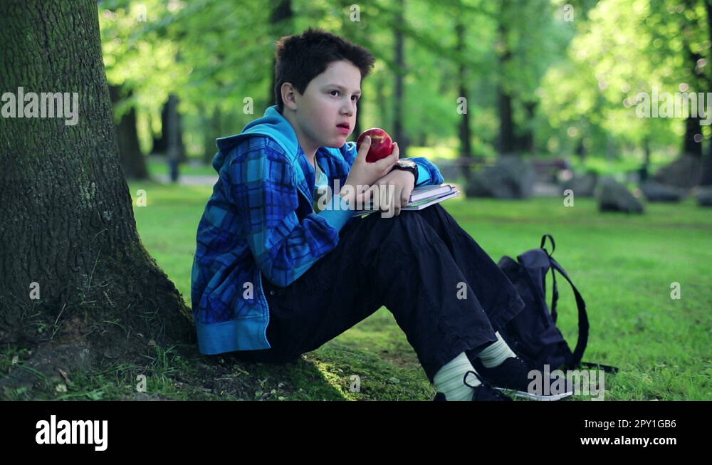 Sitting in an apple tree Stock Videos & Footage - HD and 4K Video Clips ...