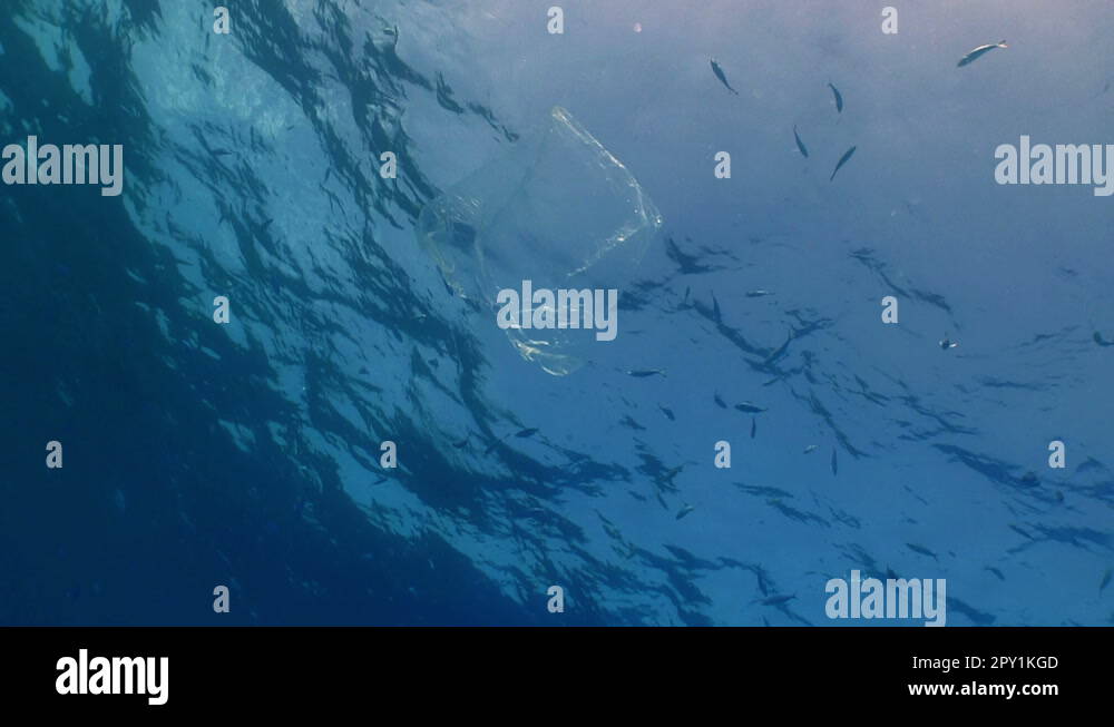 Floating plastic ocean Stock Videos & Footage - HD and 4K Video Clips ...