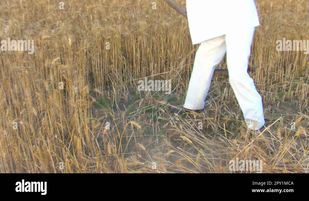 Farming scythe Stock Videos & Footage - HD and 4K Video Clips - Alamy