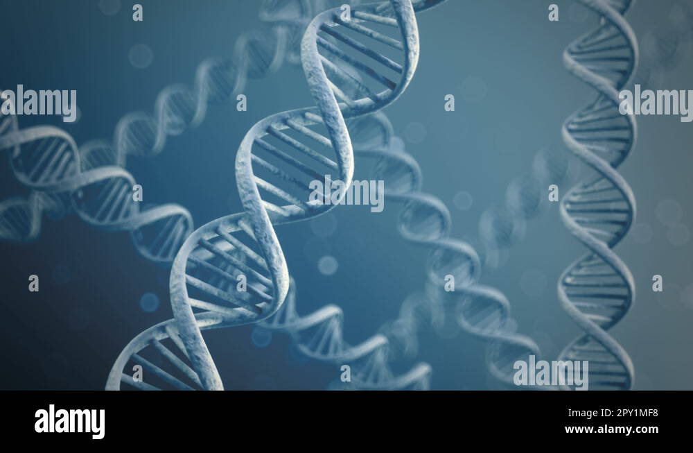 Human testing Stock Videos & Footage - HD and 4K Video Clips - Alamy