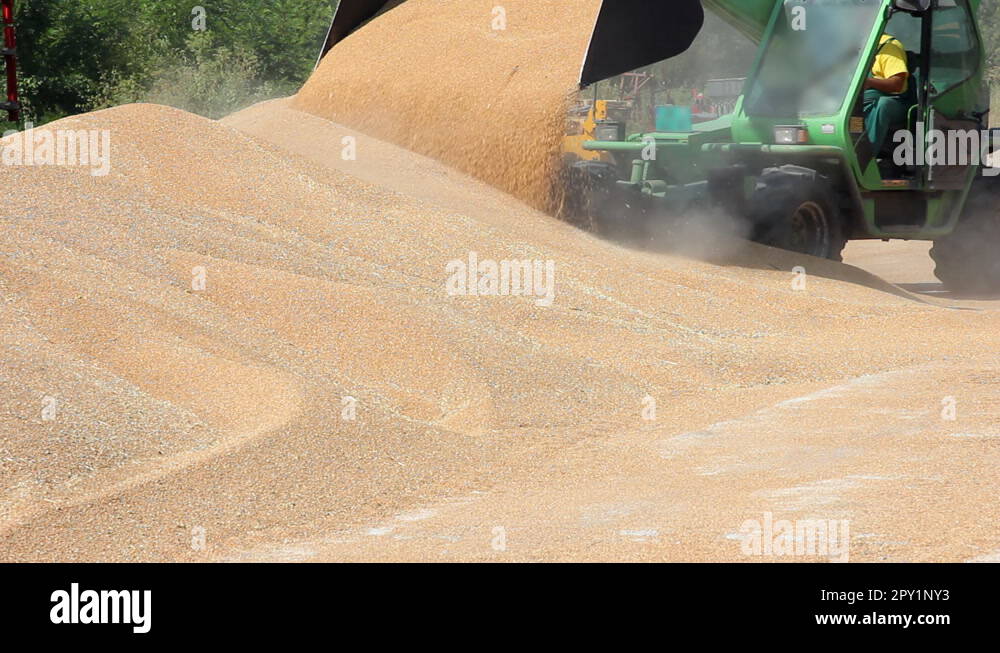 Harvest loader Stock Videos & Footage - HD and 4K Video Clips - Alamy