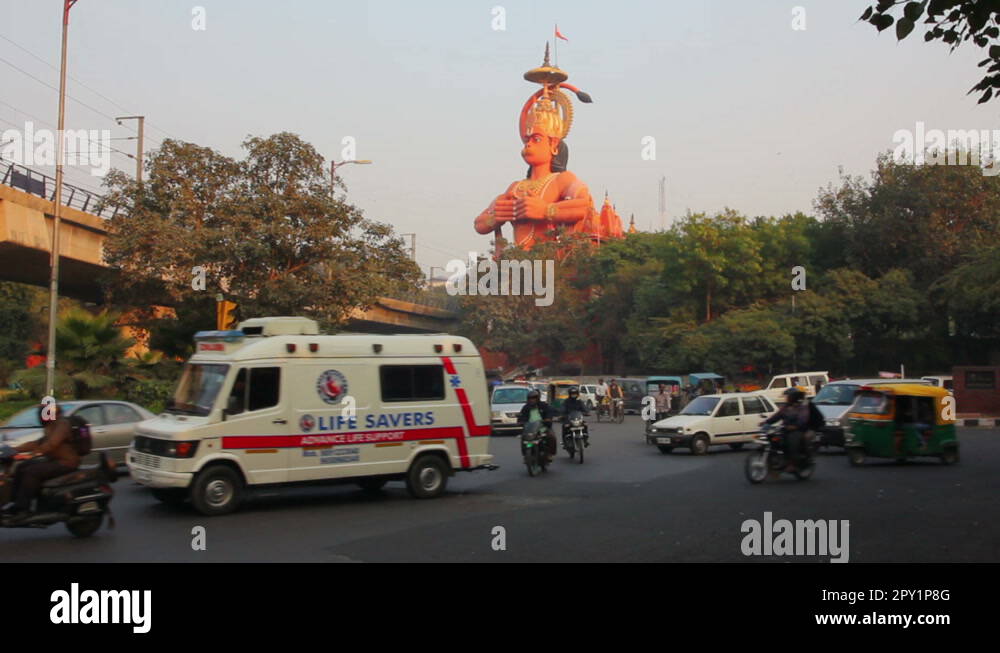 Delhi monkeys Stock Videos & Footage - HD and 4K Video Clips - Alamy