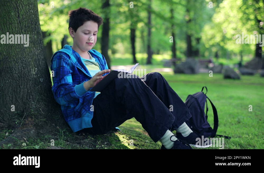 Young boy sitting in tree and boy Stock Videos & Footage - HD and 4K ...