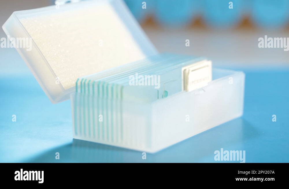 Microbiology laboratory Stock Videos & Footage - HD and 4K Video Clips ...