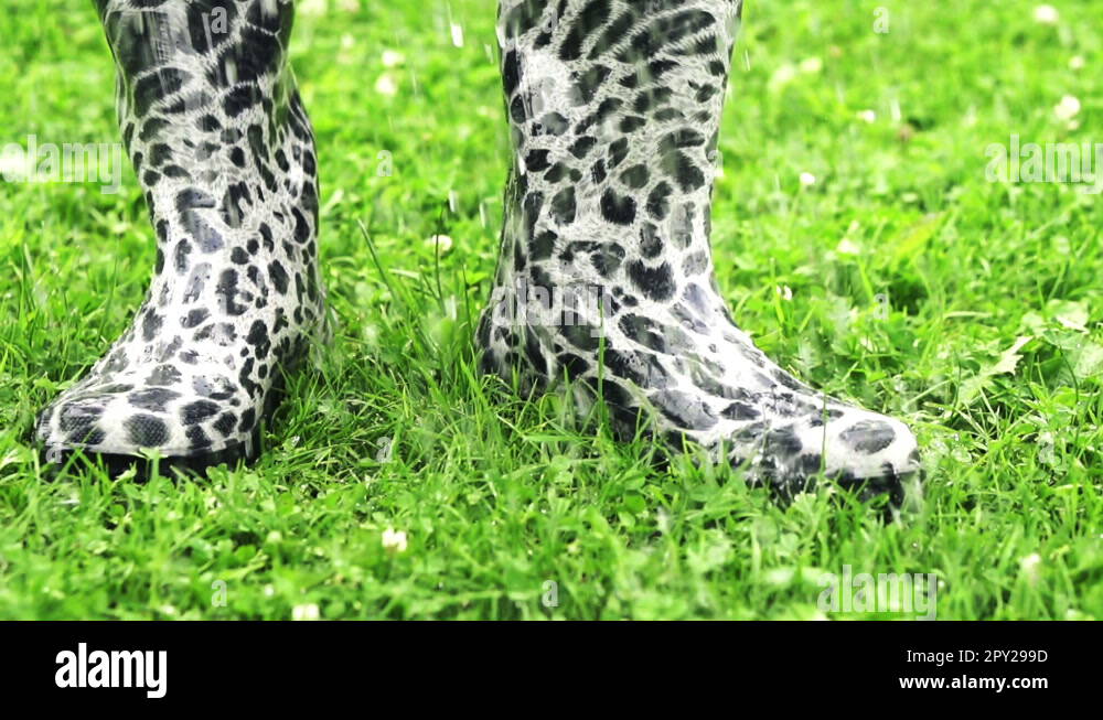 Green wellies wellies Stock Videos & Footage - HD and 4K Video Clips ...