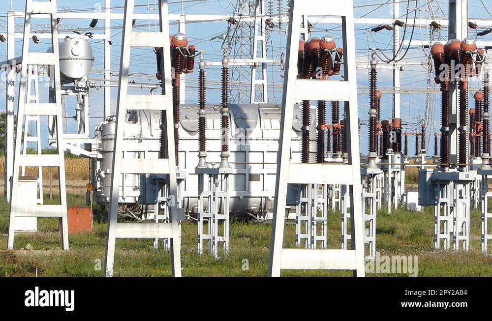 Transformer birds Stock Videos & Footage - HD and 4K Video Clips - Alamy