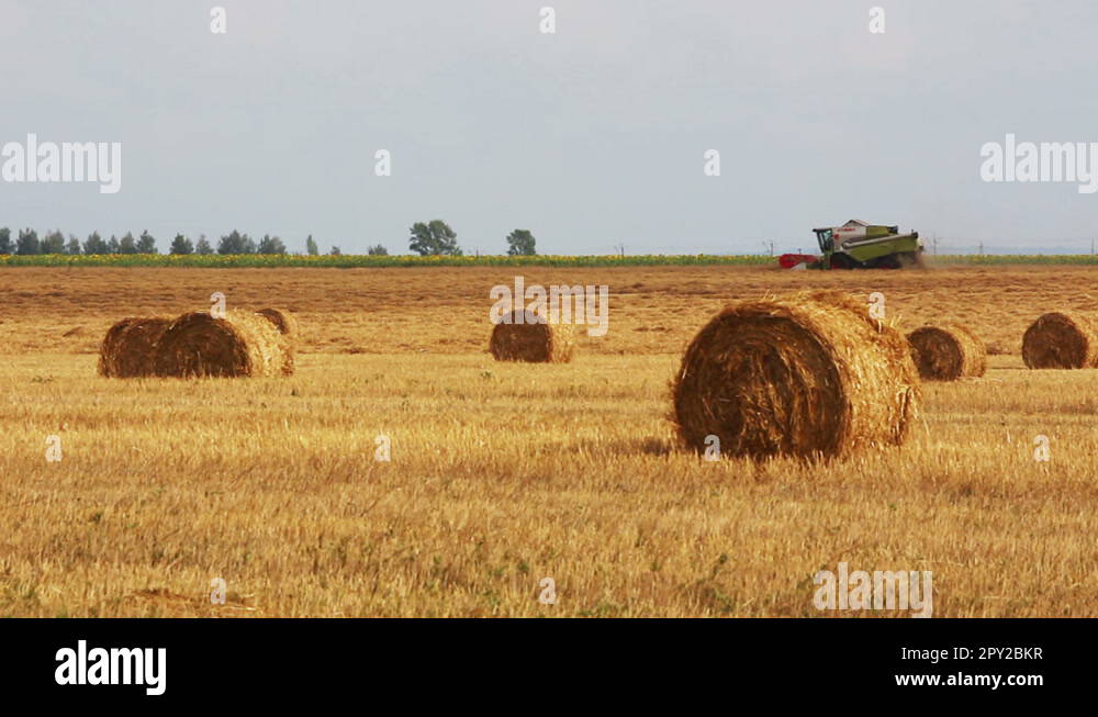 Straw combine Stock Videos & Footage - HD and 4K Video Clips - Alamy