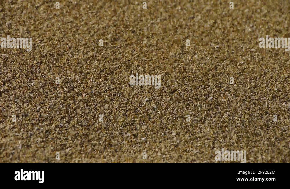 sand,wind blow sand particles on beach Stock Video Footage - Alamy