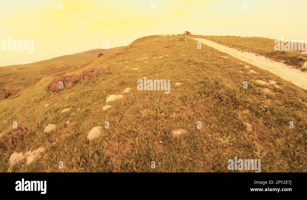 armed soldiers walking through field. soldiers running with Machine gun ...