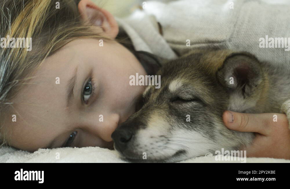 Whispering animals Stock Videos & Footage - HD and 4K Video Clips - Alamy