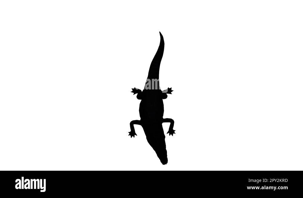Crocodile open mouth attack hunting,Dangerous animals sketch silhouette ...