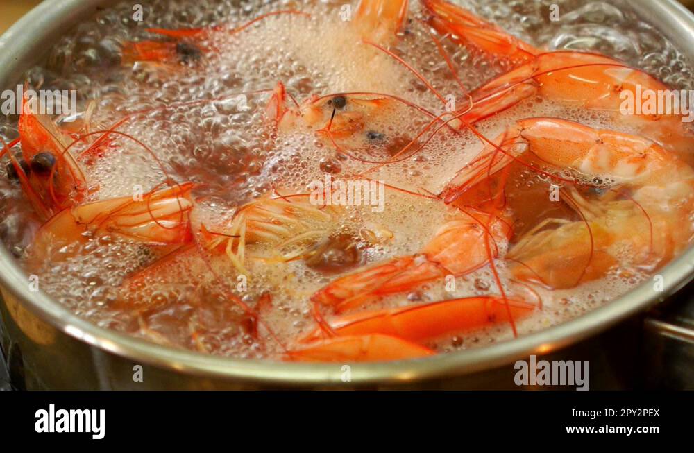King prawns in shell Stock Videos & Footage - HD and 4K Video Clips - Alamy