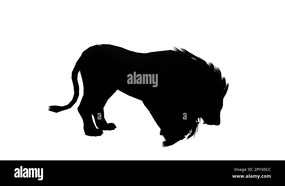 Lion bite eating,Endangered wild animal wildlife sketch silhouette ...