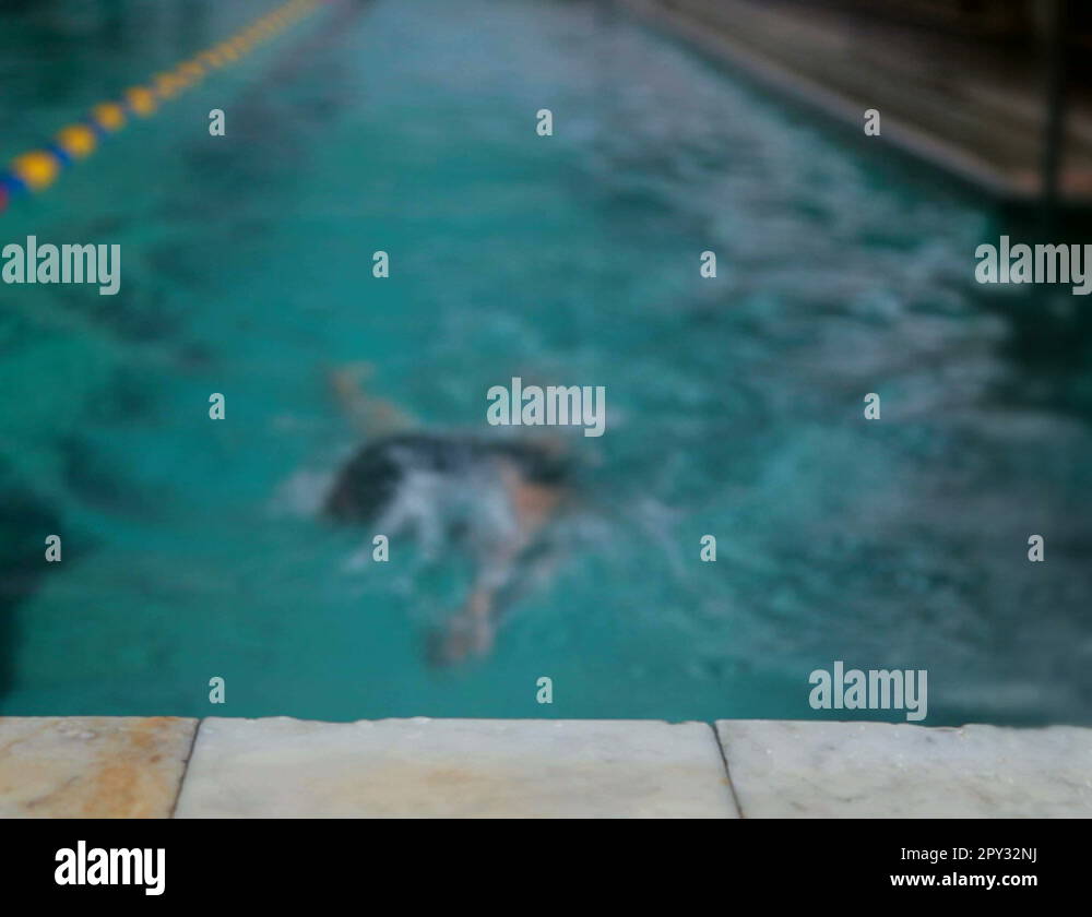 Teenager in swimming pool Stock Videos & Footage - HD and 4K Video ...