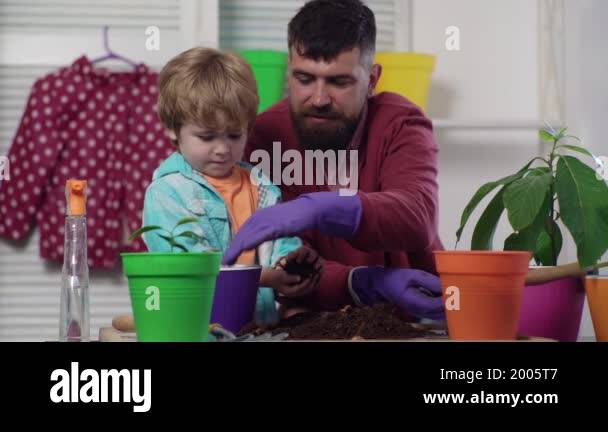 Father and son planting. Father and son potted plant. Father and son ...