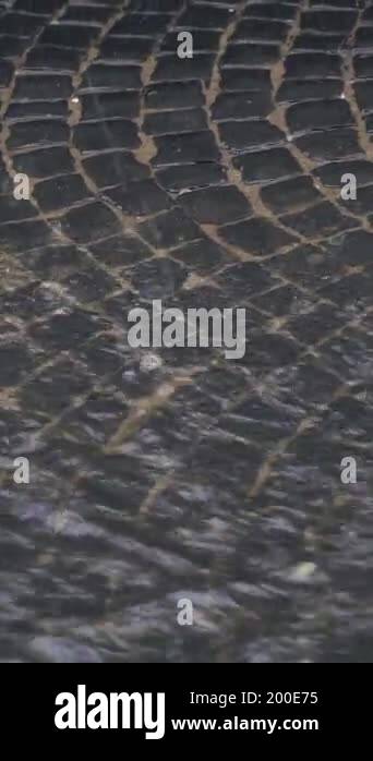 water are flowing through the pavement in the city. Raindrops are ...