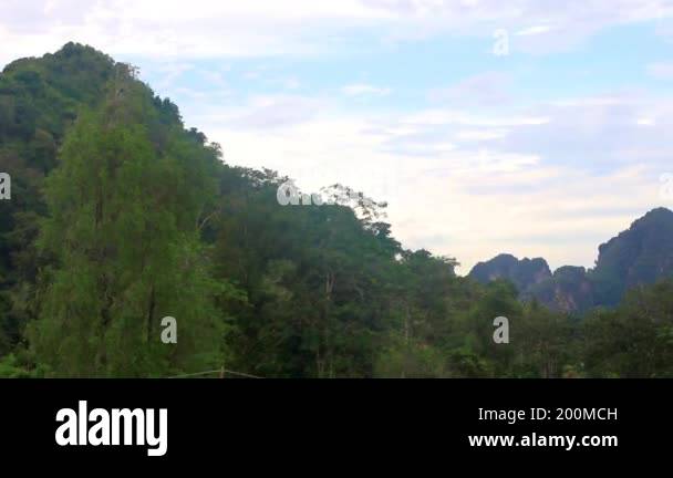 Nature mountains tropical jungle forest limestone cliffs panorama and ...