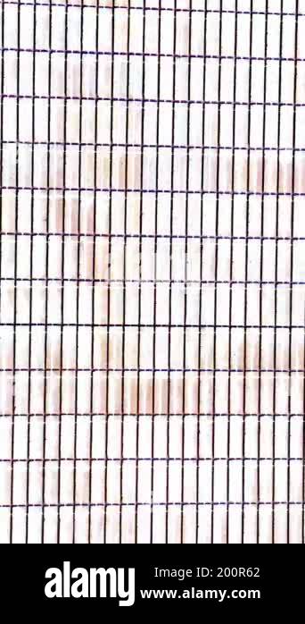 abstract background for grunge and stop motion style animation, vintage ...