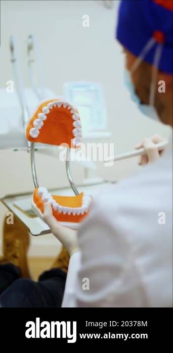 vertical Dentist demonstrating proper teeth brushing techniques using ...