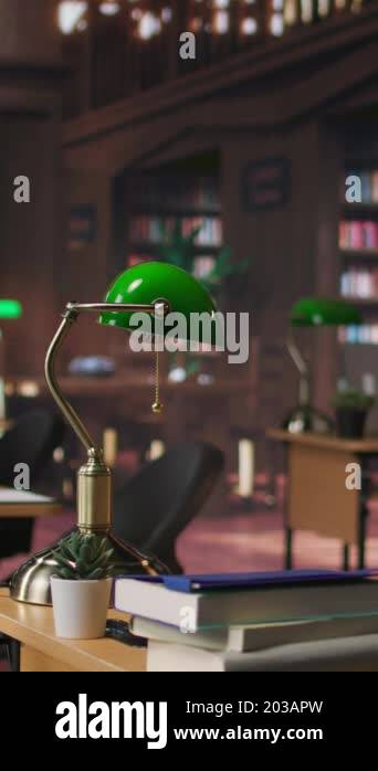 Vertical Video Empty inspiring library interior with heritage design ...